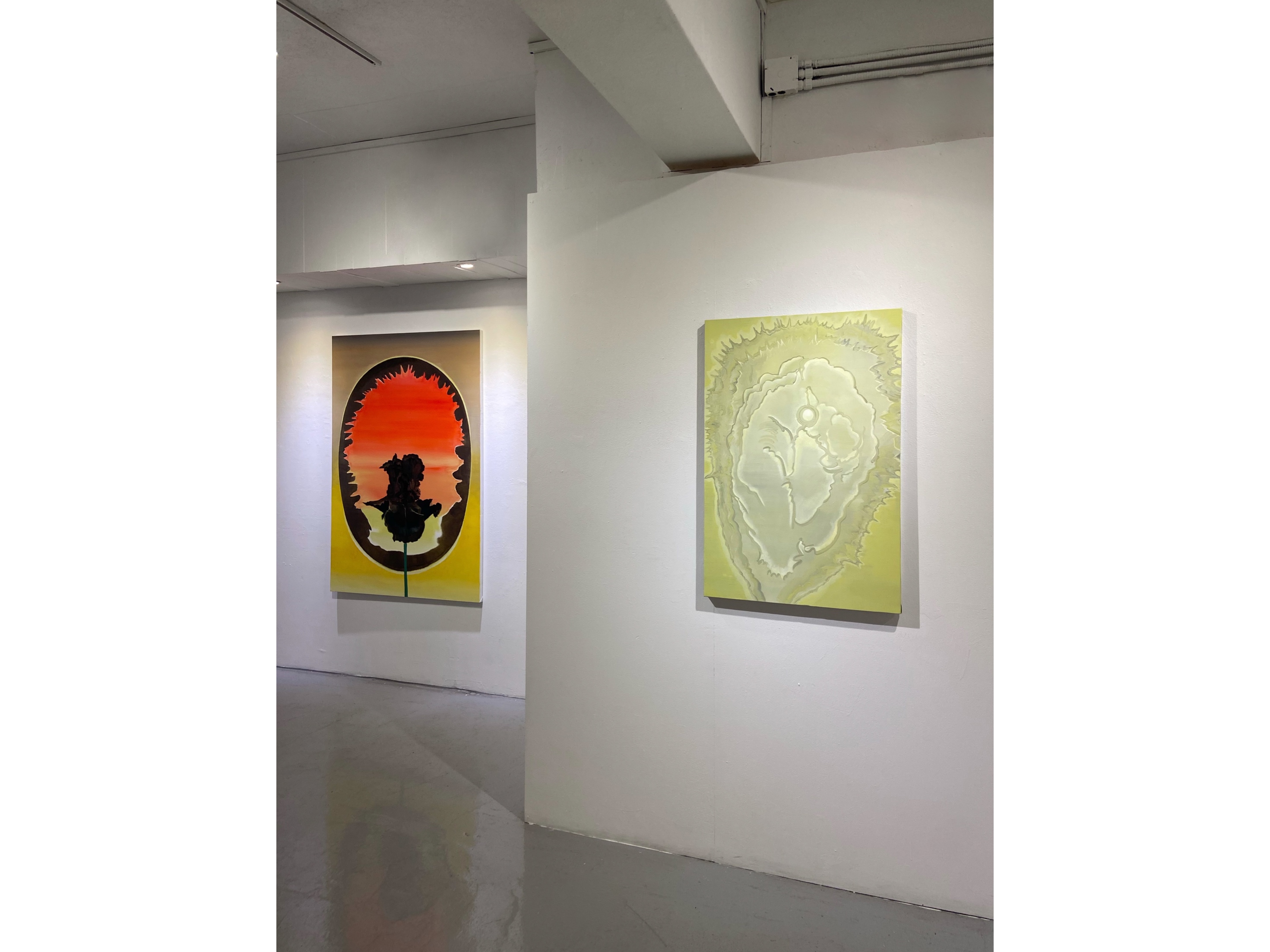 Installation View Nawoo Kim